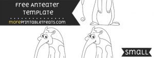 Anteater Template – Small