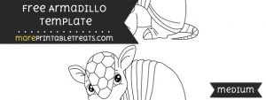 Armadillo Template – Medium