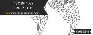 Barley Template – Medium