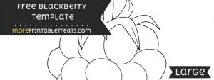Blackberry Template – Large