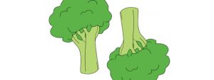 Broccoli Cut Out – Medium