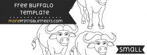 Buffalo Template – Small
