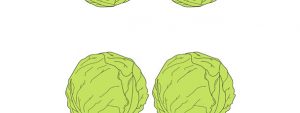 Cabbage Cut Out – Small