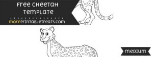 Cheetah Template – Medium