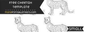 Cheetah Template – Small