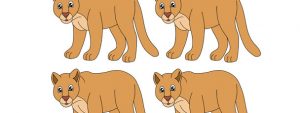 Cougar Cut Out – Small