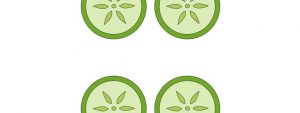 Cucumber Slice Cut Out – Small