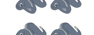 Eel Cut Out – Small
