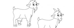 Goat Template – Medium