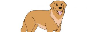 Golden Retriever Cut Out – Large