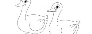 Goose Template – Medium