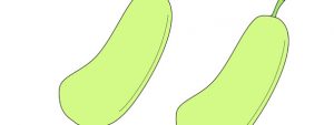 Gourd Cut Out – Medium