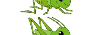 Grasshopper Cut Out – Medium
