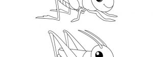 Grasshopper Template – Medium