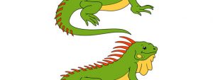 Iguana Cut Out – Medium