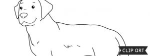 Labrador Dog Template – Clipart