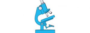 Microscope Cut Out – Large