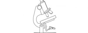 Microscope Template – Large