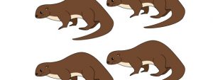 Otter Cut Out – Small