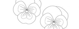Pansy Template – Medium