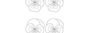 Pansy Template – Small