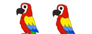 Parrot Cut Out – Medium