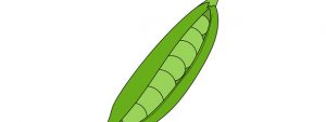 Peas In A Pod Cut Out – Large