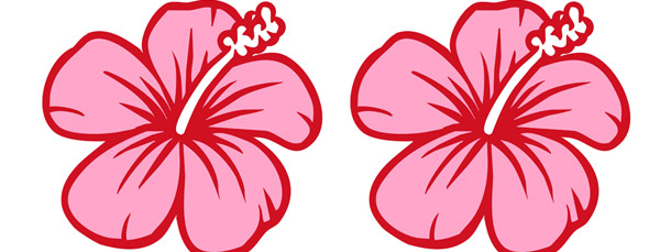 Pink and Red Hibiscus Flower Cut Out