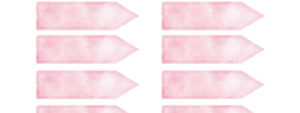 Pink Arrow Flag Labels
