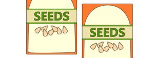 Seed Packet Cut Out – Medium