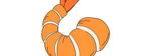 Shrimp Cut Out – Large