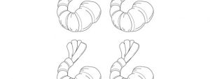 Shrimp Template – Small