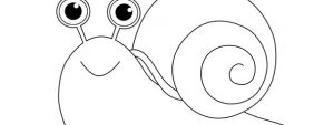 Snail Template – Large