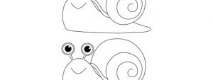 Snail Template – Medium