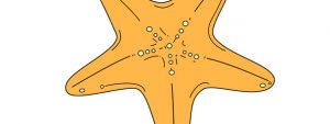 Starfish Cut Out – Large
