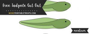Tadpole Cut Out – Medium