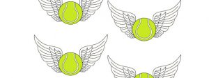 Tennis Ball With Wings Cut Out – Small