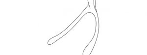 Wishbone Template – Large