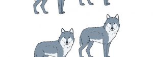 Wolf Cut Out – Small