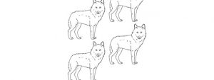 Wolf Template – Small