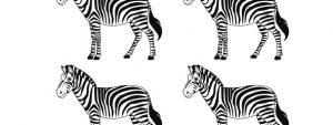 Zebra Cut Out – Small